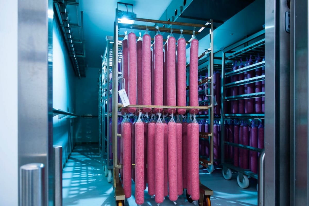 Maurer-Atmos CMP Continuous Maturation Process System | IB